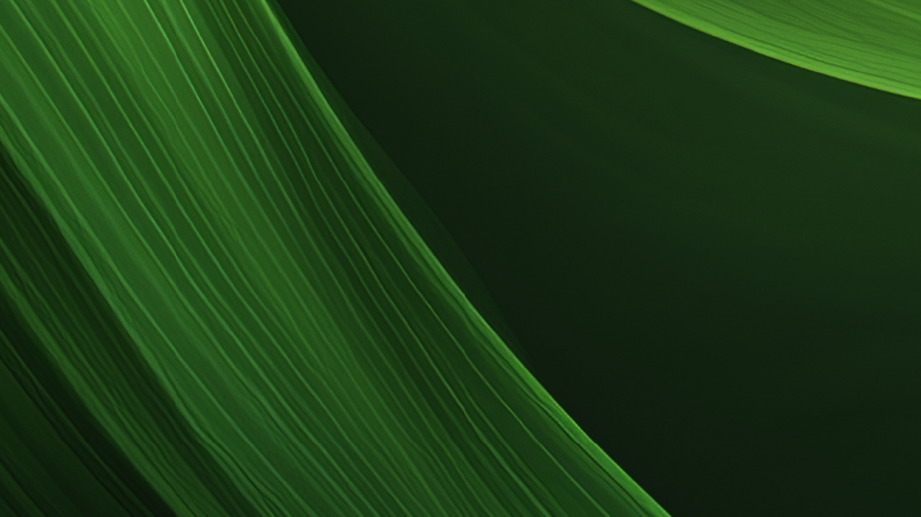 Berggren’s experts contributing to the development of IP practices at ...